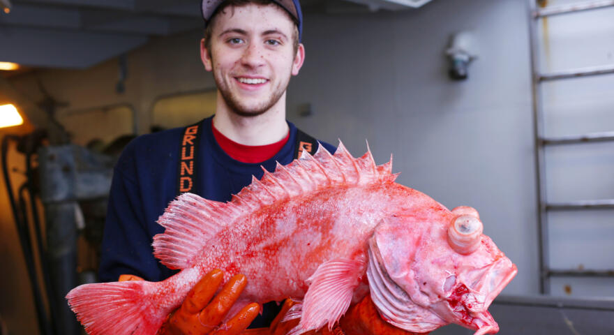 Rockfish | Alaska Seafood Marketing Institute