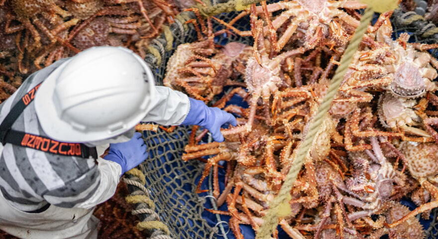 King Crab | Alaska Seafood Marketing Institute