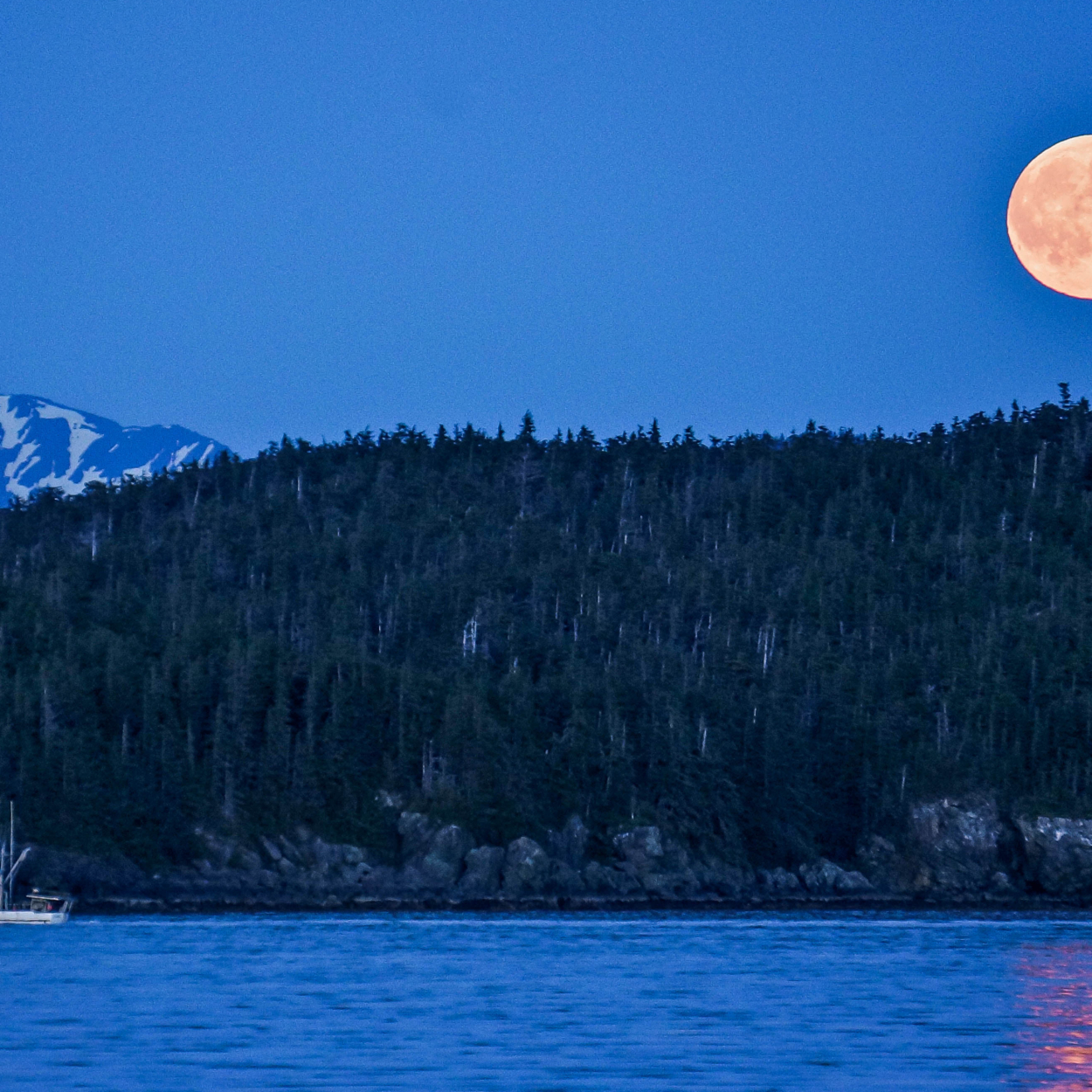 Heather & Kirk Hardcastle | Alaska Seafood Marketing Institute