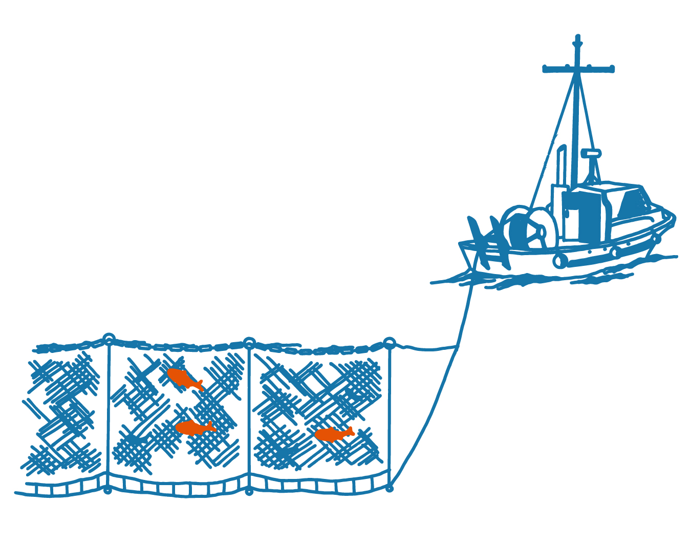 Seasonality & Harvesting | Alaska Seafood Marketing Institute